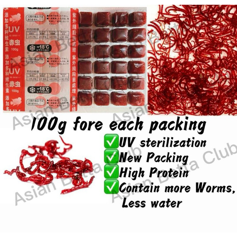 (1 papan) Cacing Beku Frozen Bloodworm Cacing Darah Cacing Merah 冷凍紅蟲 ...