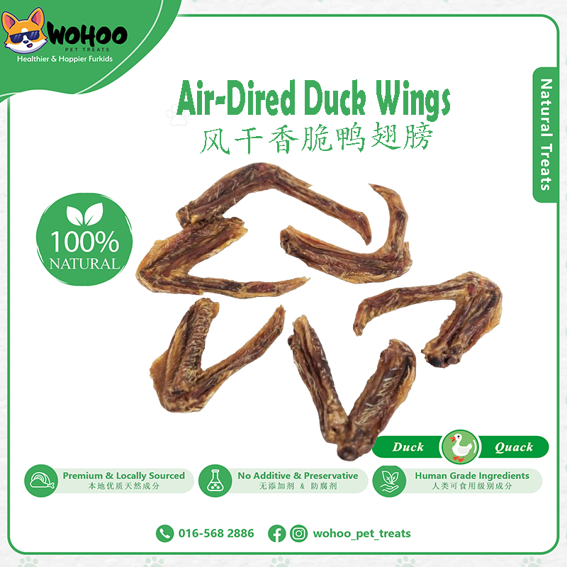 [HomeMake]Air Dried Duck Wing Healthy Molar Pet Treats 宠物磨牙风干香脆鸭翅膀 ...