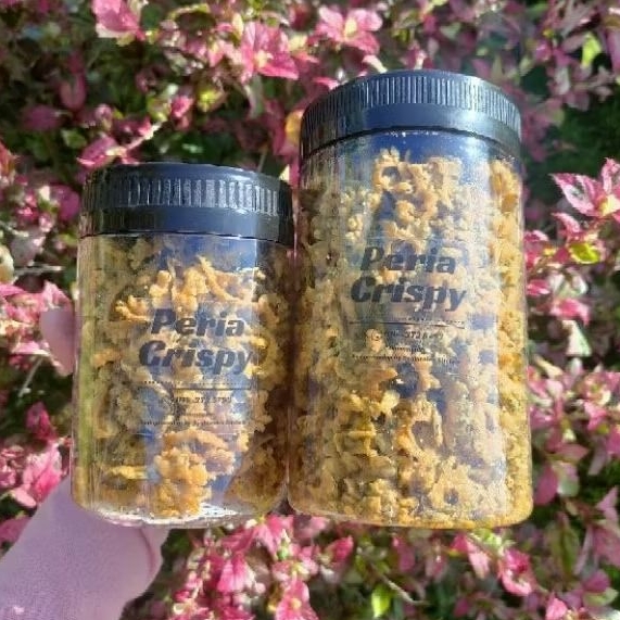 Peria Crispy | Peria Goreng Crispy | Makanan Berpantang | Makanan Sihat ...
