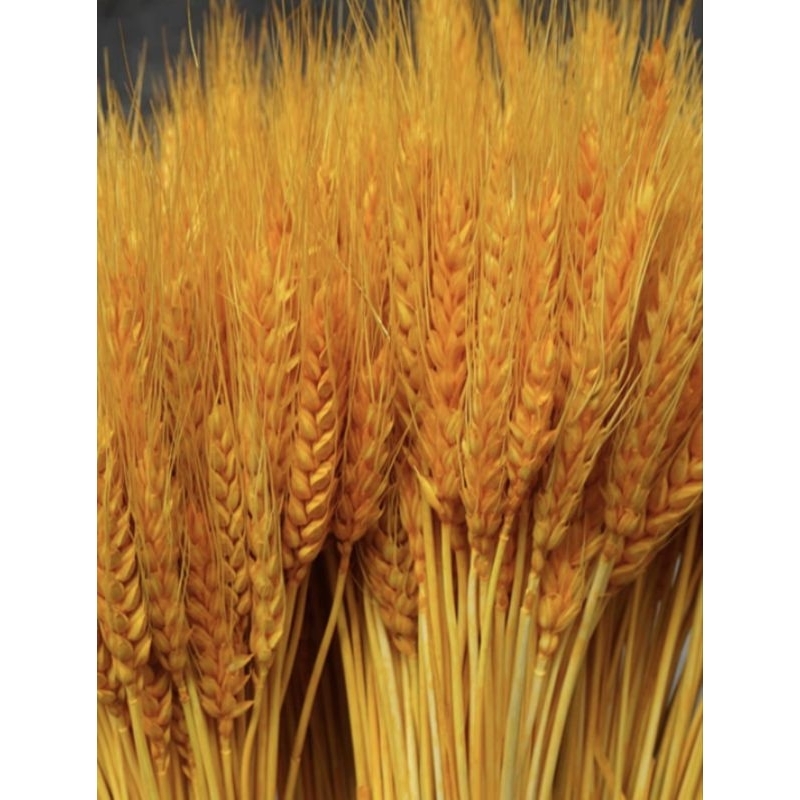 100pcs 黄金麦穗Gold Big Wheat Artificial Fake Flower Living Room Dining ...