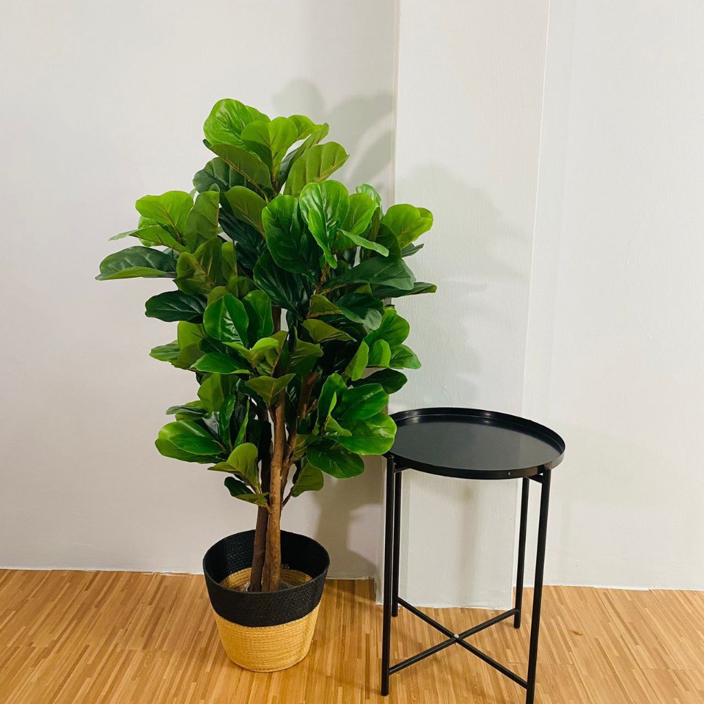 Premium Artificial Plant Fiddlefig Leaves | Fiddle Fig Tree | Pokok ...