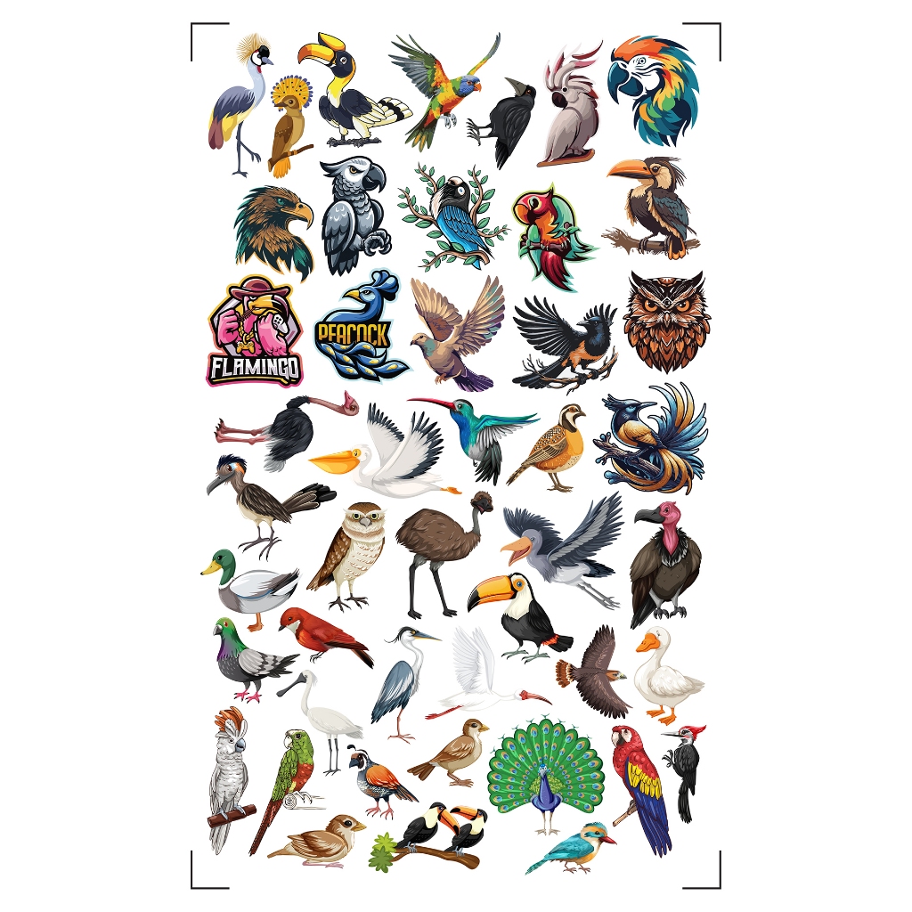 STICKER BURUNG PVC WATER PROOFING | Shopee Malaysia