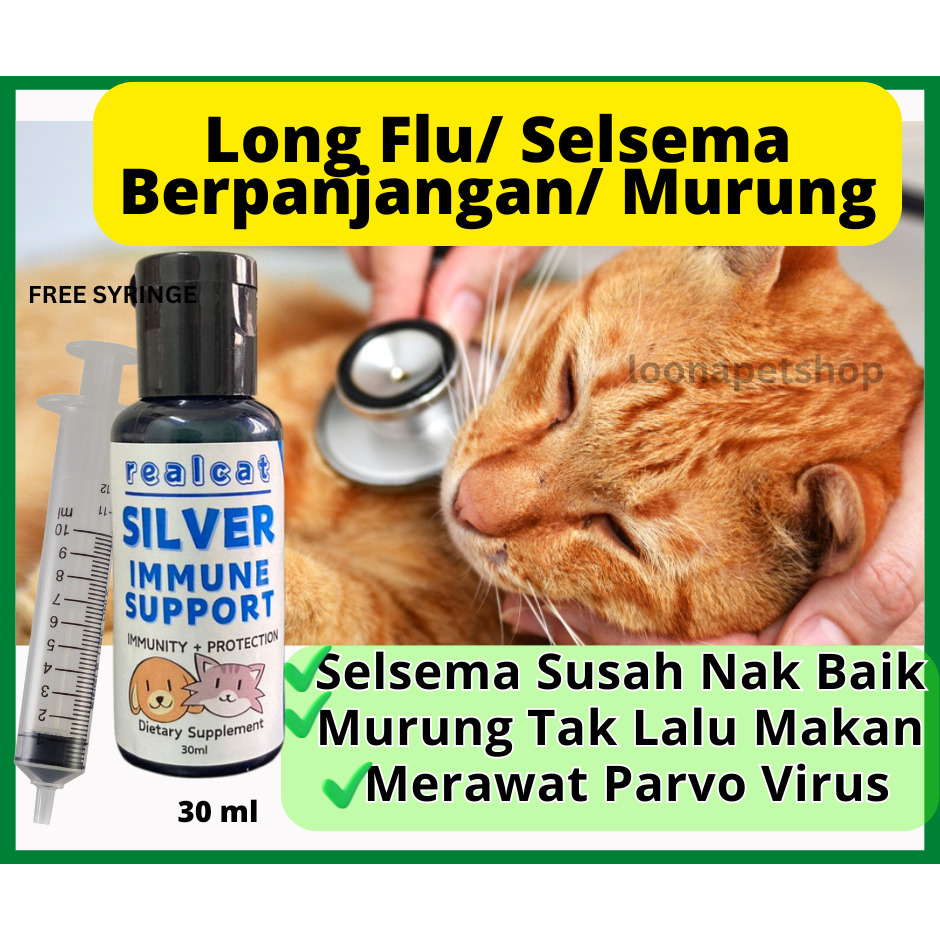 RealCat Ubat Selsema Kucing Sakit Ubat Demam Kucing Selesema Kucing Cat ...
