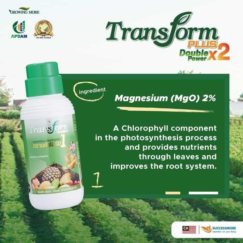 Transform Plus 1 Thailand (100ml) repacking botol | Shopee Malaysia