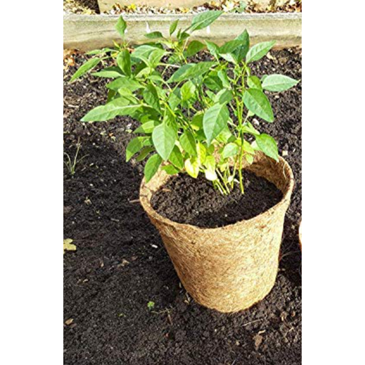 NATURAL BIODEGRADABLE COIR POT - 10'’ COIR POT | Shopee Malaysia