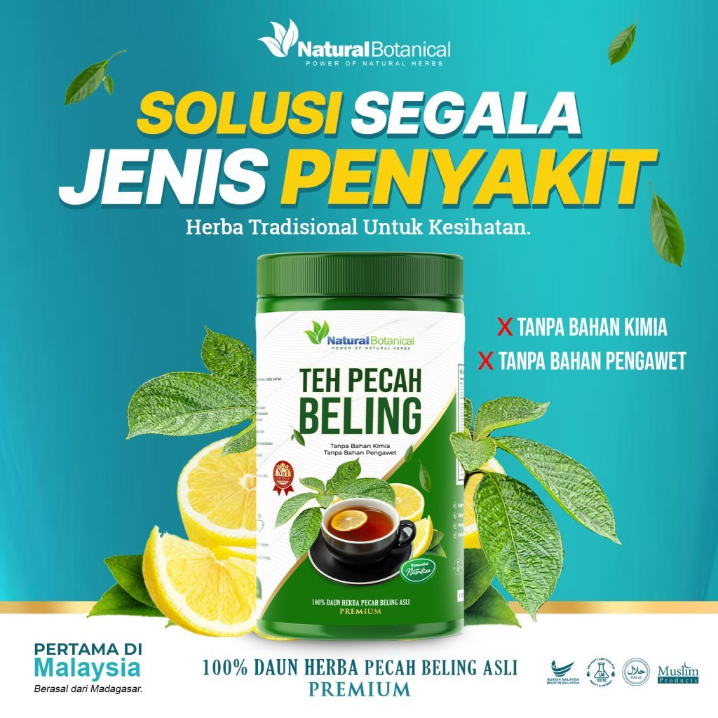 🌿 Teh Pecah Beling - Natural Botanical 🌿 Beransur Sembuh Seawal 5 Hari ...