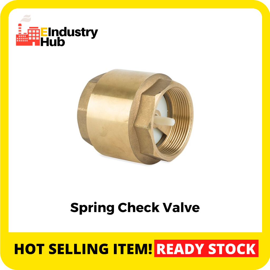 Brass Spring Check Valve / Non Return Valve Nylon Disc ( Nylon Disc ...