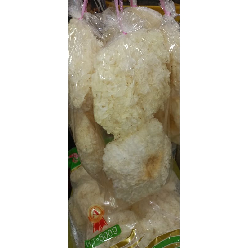 BUNGA KEMBANG SEMANGKUK*KULAT* | Shopee Malaysia