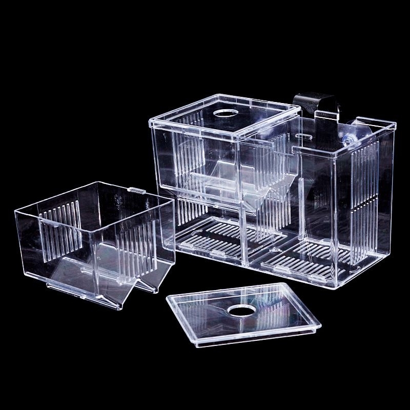 Premium Hook Type Breed Box Aquarium Acrylic 2 or 3 Layer Fish ...
