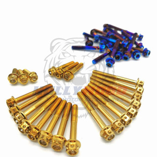 SKRU COVER ENGINE SET TITANIUM & GOLD YAMAHA Y15 / Y16 / R15 / MT15 ...