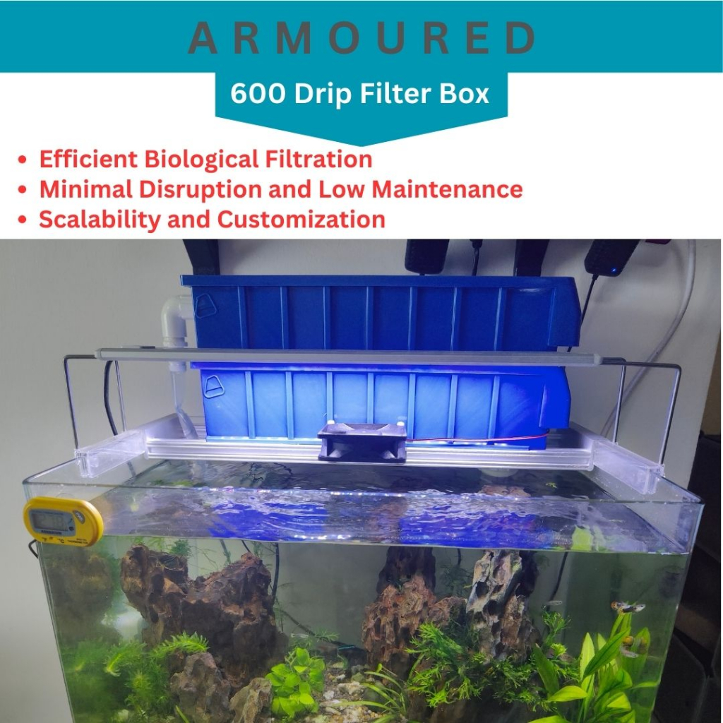 Drip Filter Box 300/400/500 & 600 Top Trickling DIY Aquarium Custom ...