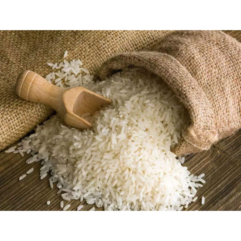 Sample Rice (10g) | Shopee Malaysia
