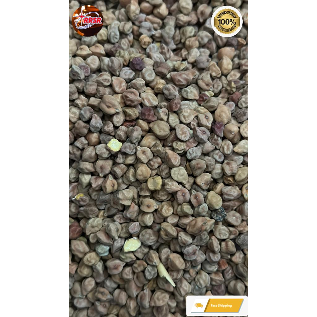 KACANG KUDA HITAM/KALA CHANA/ CHOLAR DAL/ BLACK CHICKPEAS [250G,500G ...
