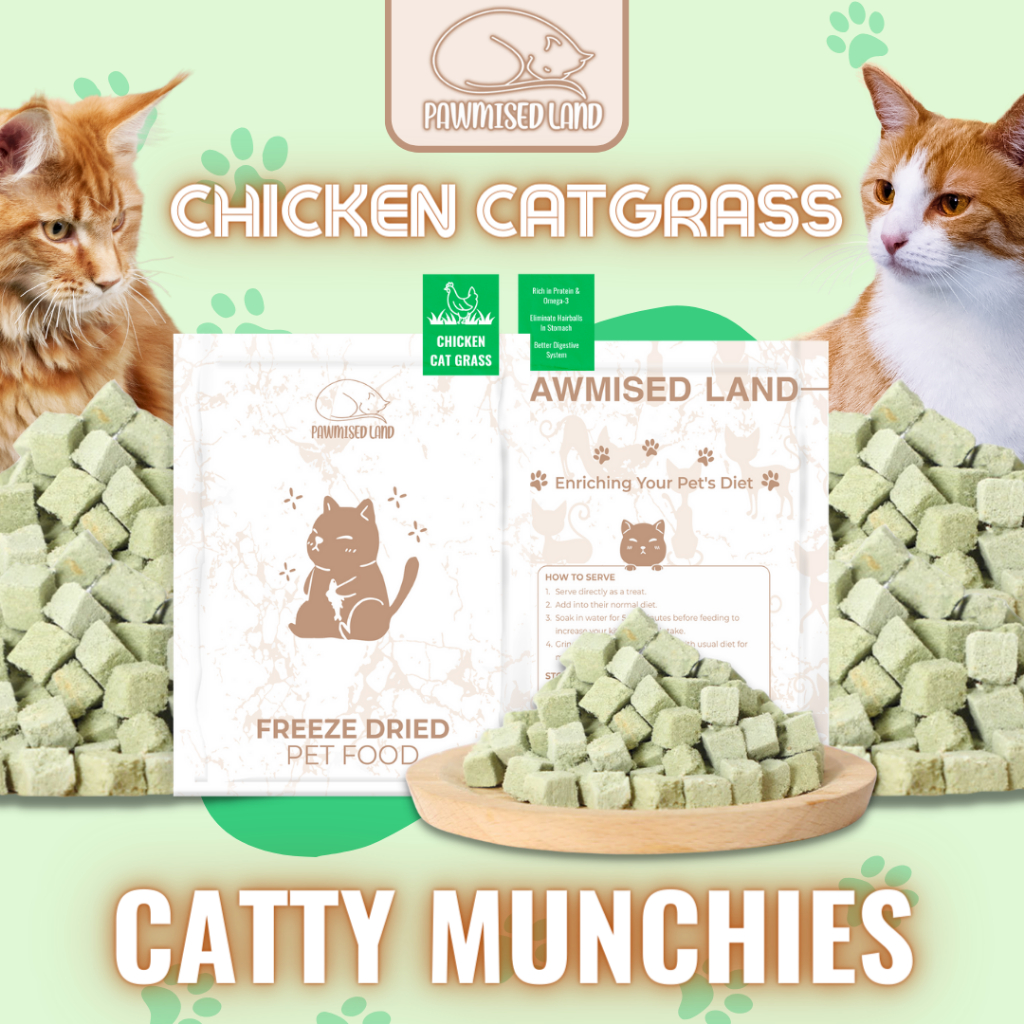 PawmisedLand Catty Munchies - Chicken Catgrass - Functional Series ...