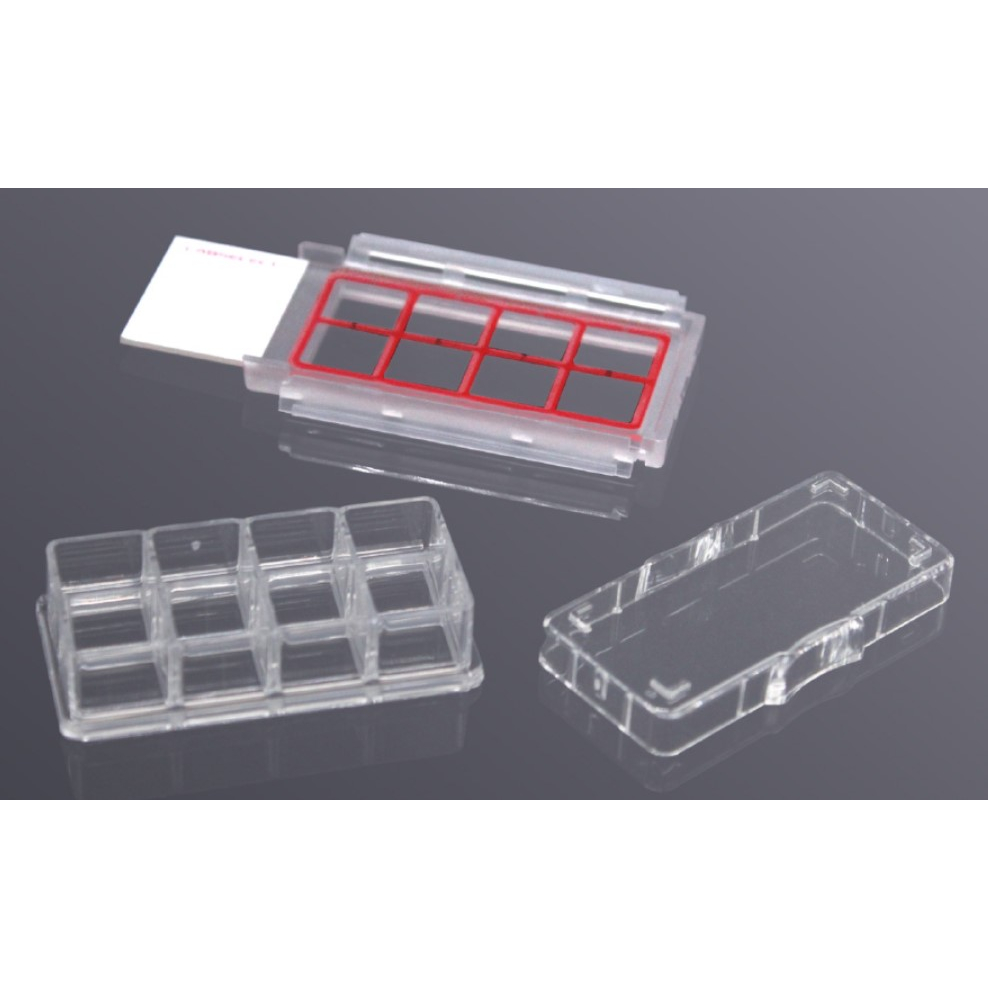 LABSELECT Chamber Slides, Tc-treated for Cell Culture, Incubation, Fix ...