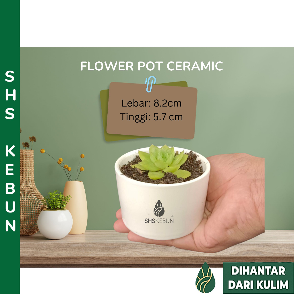 Succulent Pot Plant Pot Flower Pot Ceramic Pasu Bunga Seramik 花盆陶瓷 SHS ...