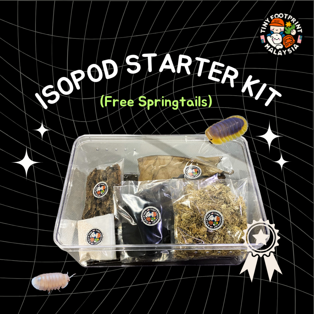 Isopod starter kit with free white Springtails 🦗 | Shopee Malaysia