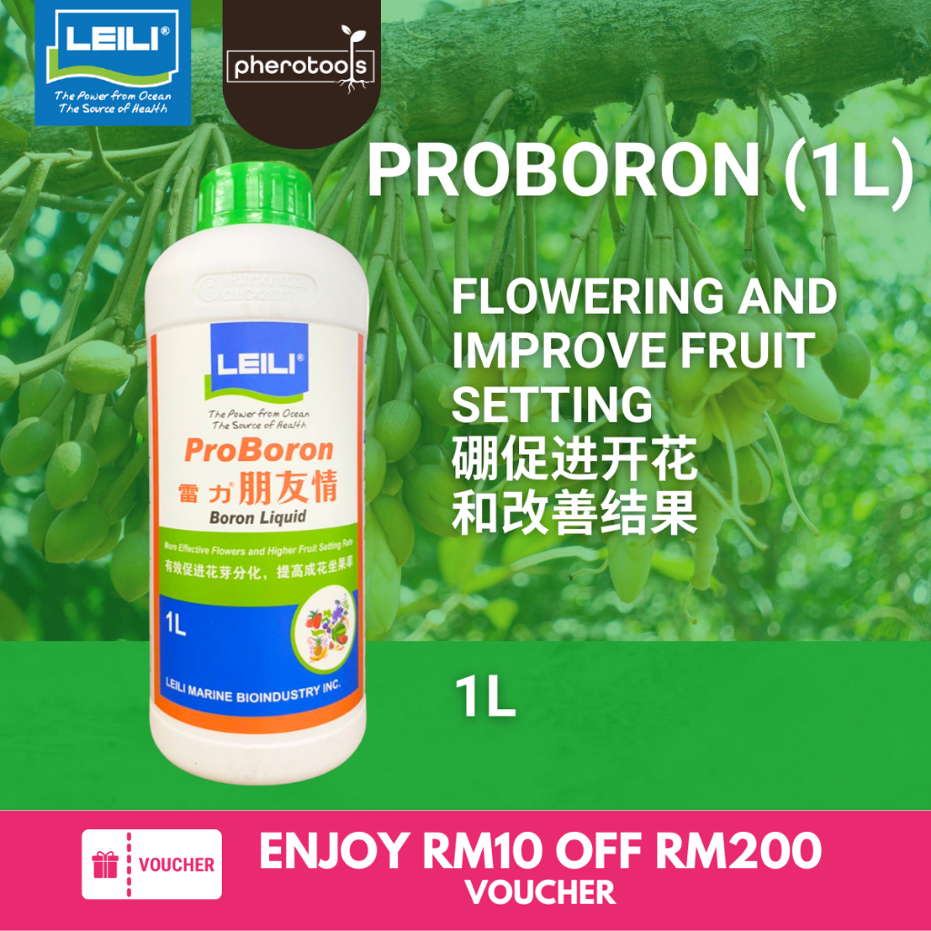 Pherotools LEILI 1L ProBoron (Boron Liquid Fertilizer Biostimulant ...