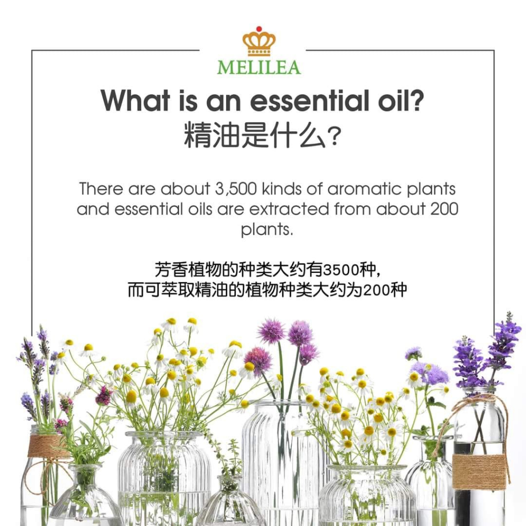 Melilea Pure Essential Oil 美丽乐芳療系列精油 | Shopee Malaysia