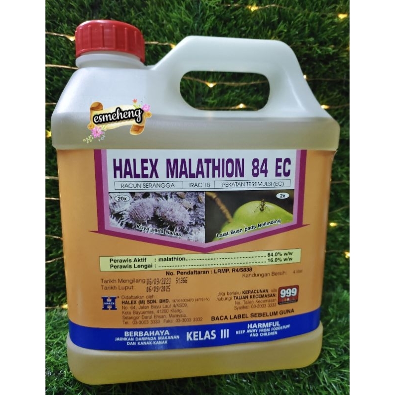 4L Halex Malathion 84 EC / Bena / Hama-hama / Kutu Daun / Racun Busuk ...