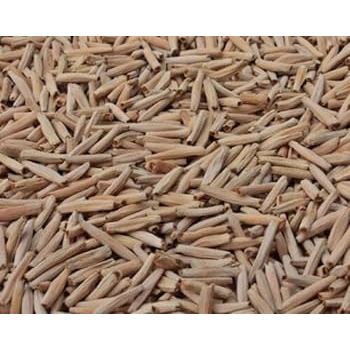 Adenium Seed bunga kemboja benih|Desert Rose Seed| Adenium Obesum Seeds ...