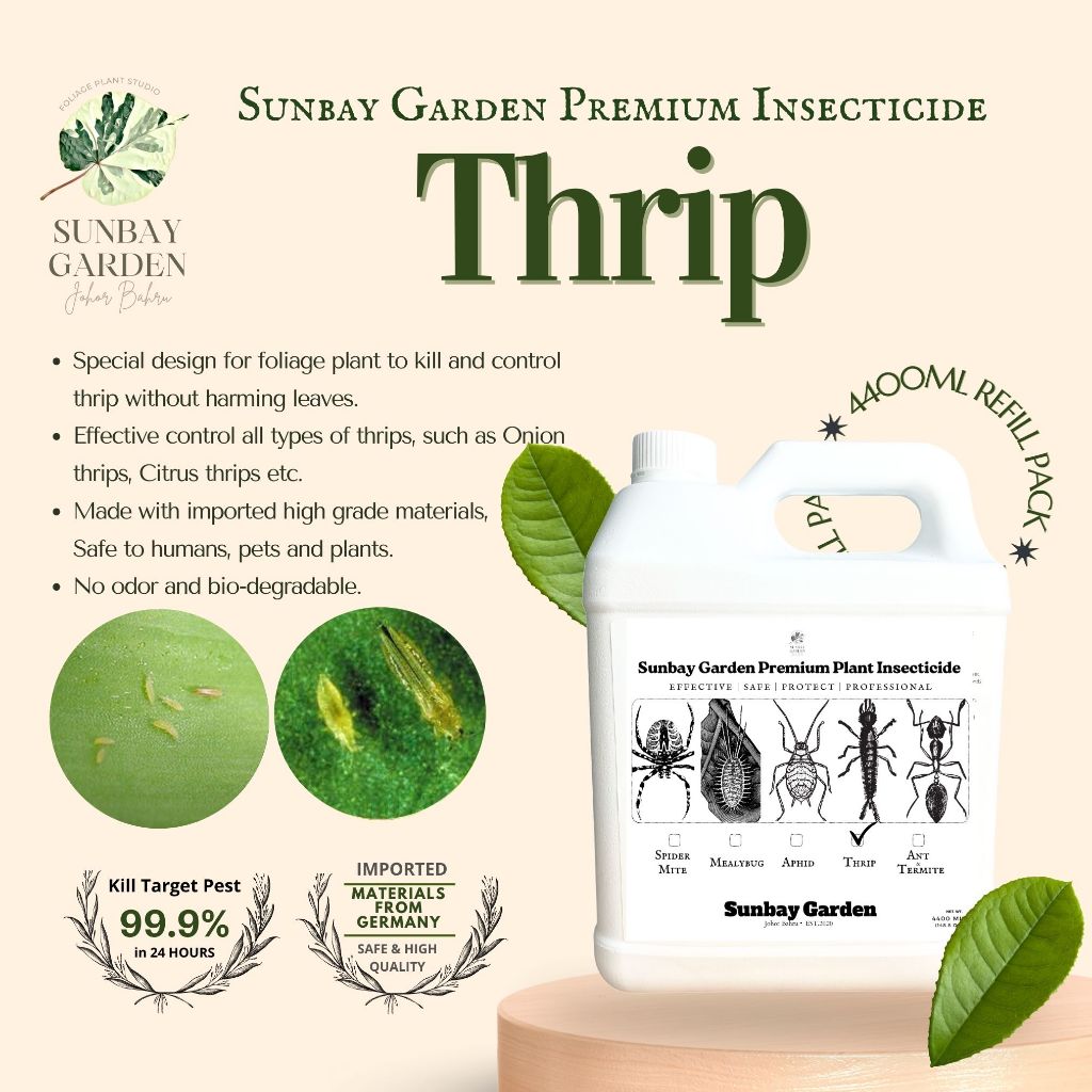 【Pesticide】Spider Mite 红蜘蛛 / Mealybugs 介壳虫 / Ahpid 蚜虫 / Thrip 蓟马 / Ant ...
