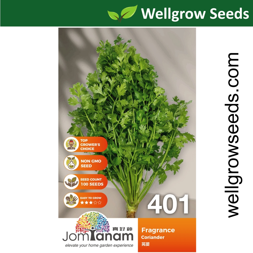 Coriander Fragrance (100 seeds) Jom Tanam by Crop Power JT401 芫荽 Biji ...