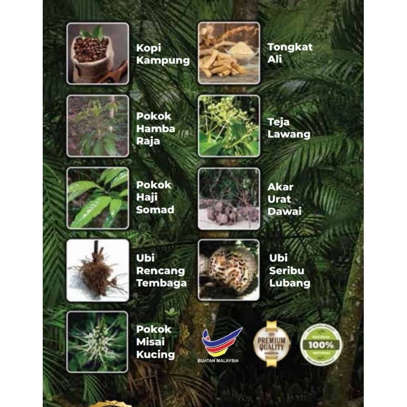 Kopi Rimba Tuan hutan 👉Per sachet👈untuk tenaga,urat saraf,kecantikan dll | Shopee Malaysia