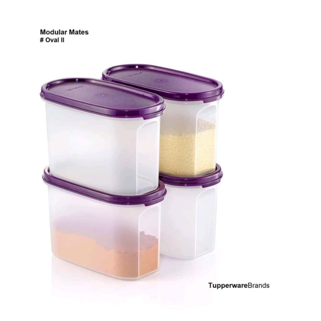 Tupperware Oval II - 1.1 liter (1) | Shopee Malaysia