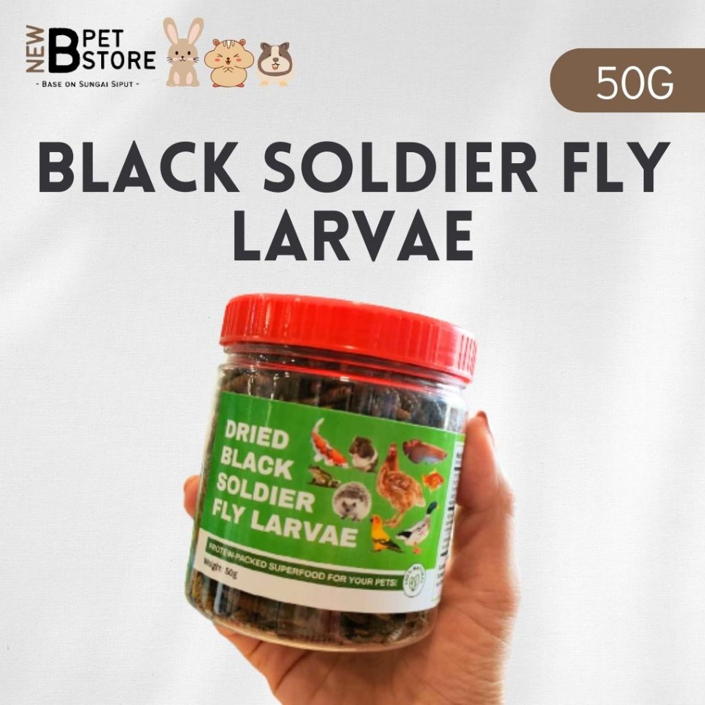 Organic Black Soldier Fly Larvae (50G) High Protein BSFL Food for small ...