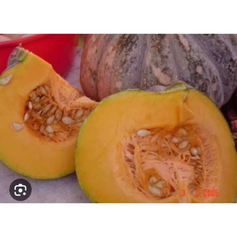 ️ ️40 PCS BIJI BENIH LABU KUNING MANIS ISI HALUS (READY STOCK) ️ ️ ...