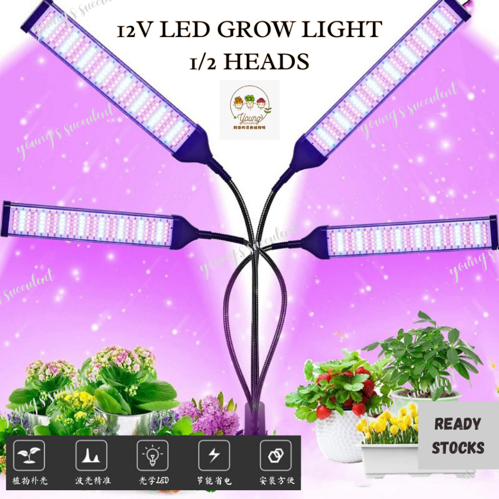 12V 室内多肉绿植植物灯 12V Full Spectrum Succulent Plant Flower LED Grow Light ...