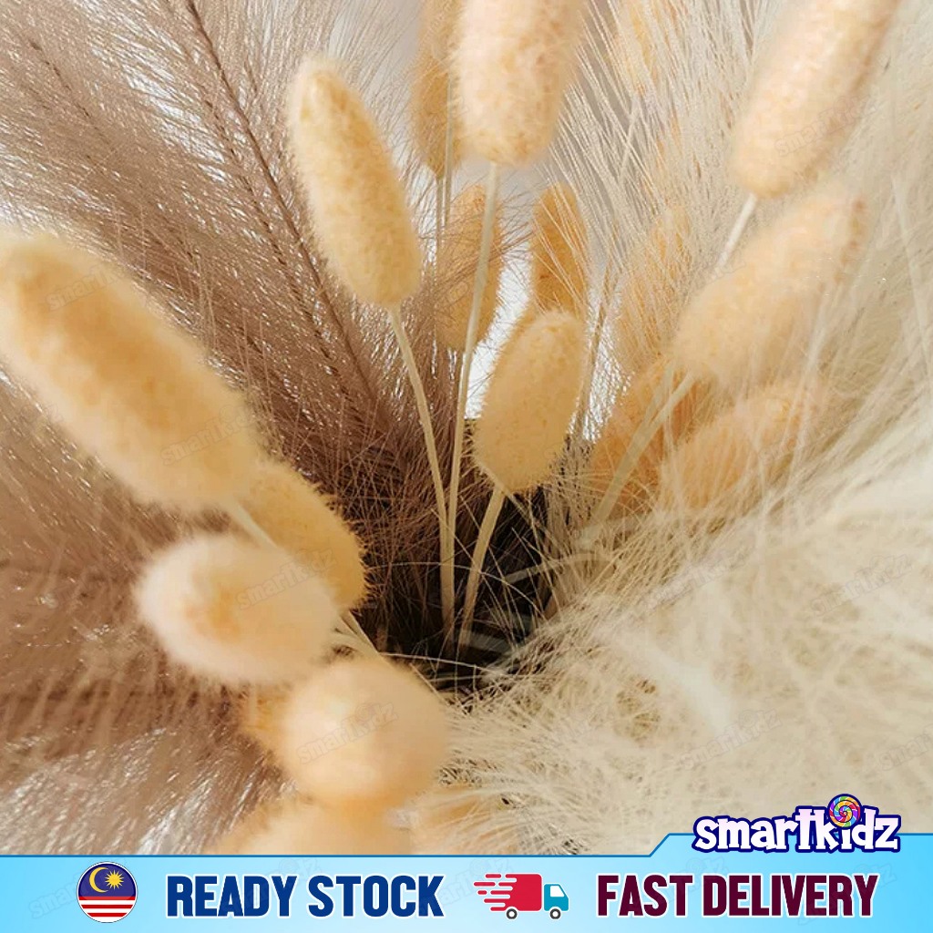 [1Stalk] 4 Heads Rabbit Tail Artificial Flowers | Rabbit Tail Hand Made ...