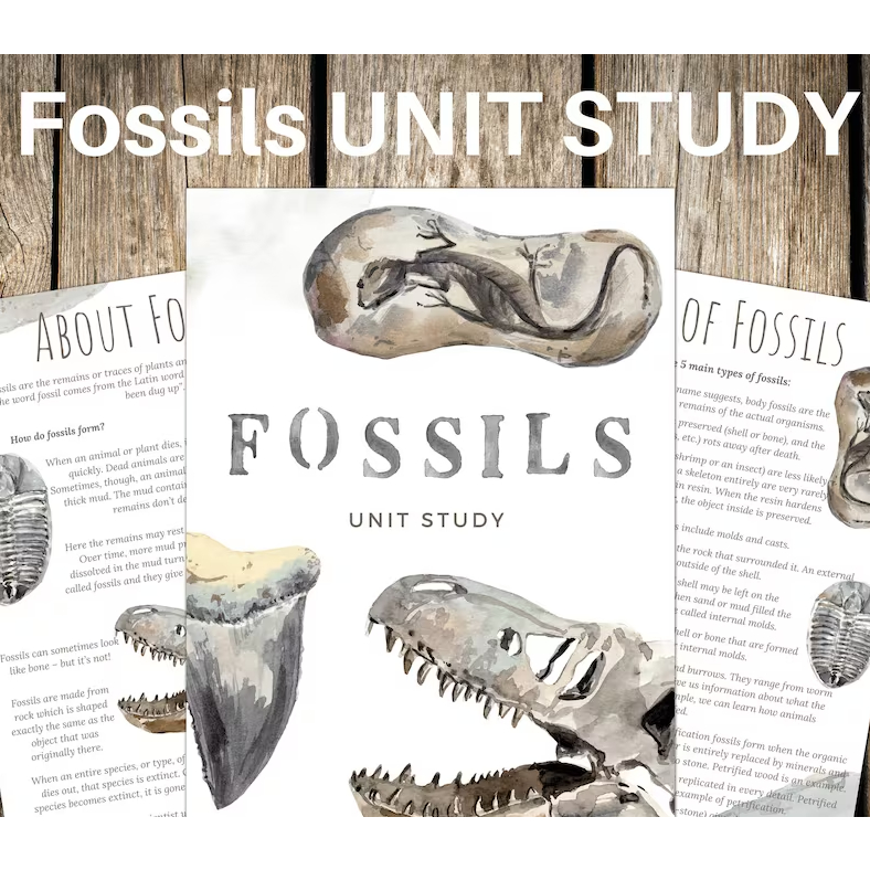 PDF] Fossils Unit Study 76 pgs Preschool Busy Quiet Book Kids Activity ...