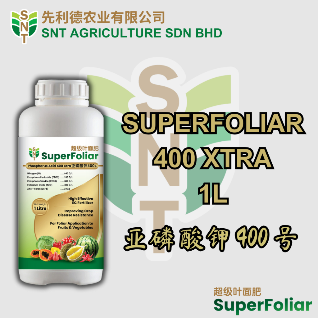SNT SuperFoliar Phosphorus Acid 400Xtra 超级叶面肥 1L for durian tree - cancer, Phytophthora and Buah ...