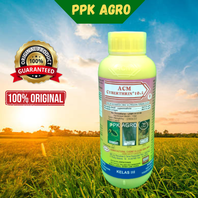 1L ACM Cyberthrin 10.5 Racun 505 / Racun Serangga / Racun Sayur / Racun Ulat /Racun Cypermetrin ...