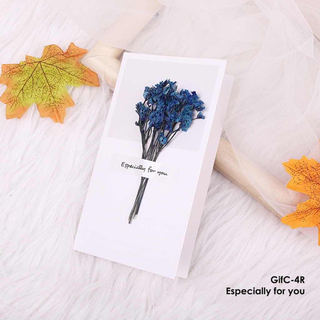 Gift Card | Small Greeting Card | Wish Card For Birthday | Best Wishes ...
