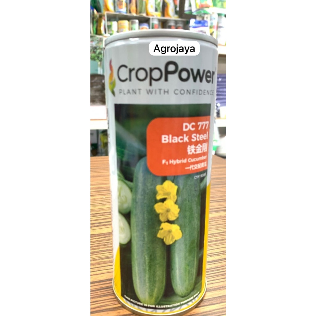 Benih Timun DC777 Black Steel F1 Hybrid Cucumber Crop Power - ( 100g ...