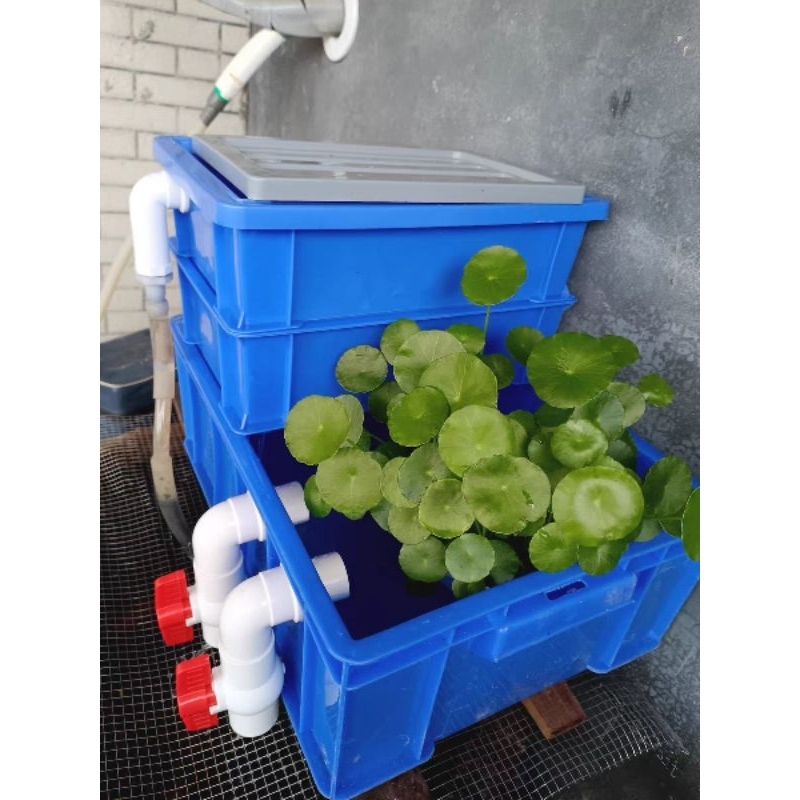 💥 HOT SALE 💥 Filter Box Koi Fish DIY Fish pond self-made fish tank fish ...
