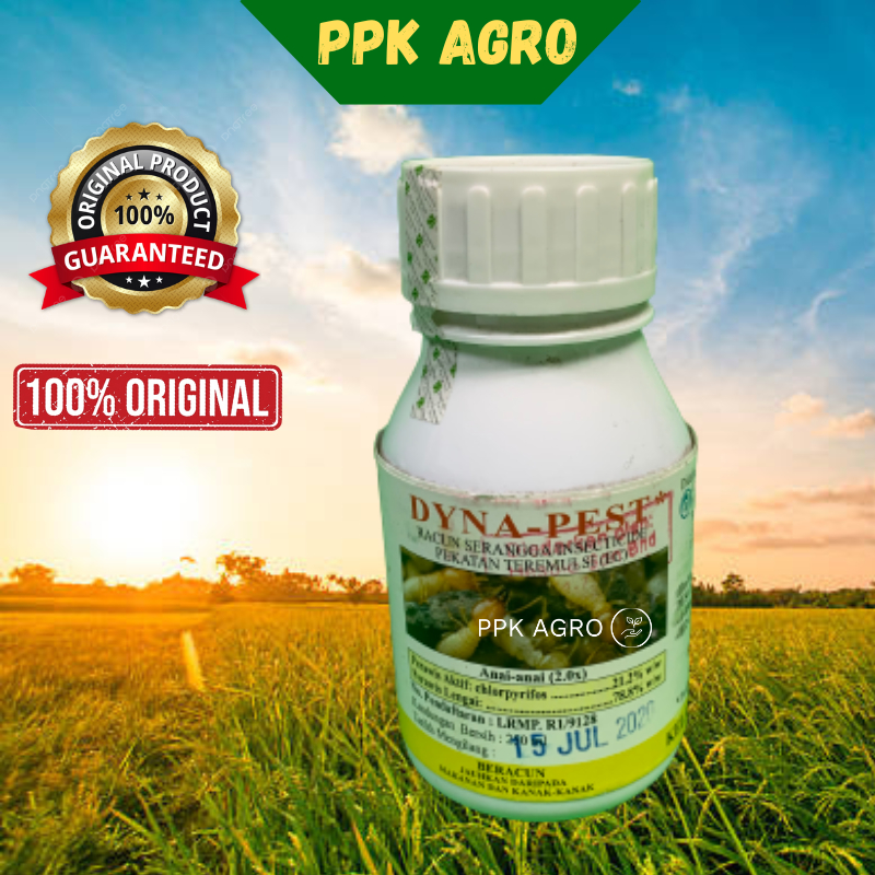 250ml Dynamic DYNA-PEST Racun Serangga Insecticide Anai-Anai ...