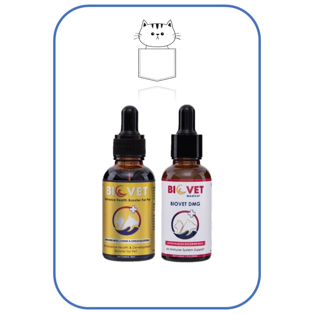 ORIGINAL BIOVET DMG & ADVANCE HEALTH BOOSTER - 30ML (FREE PREMIUM CAT ...
