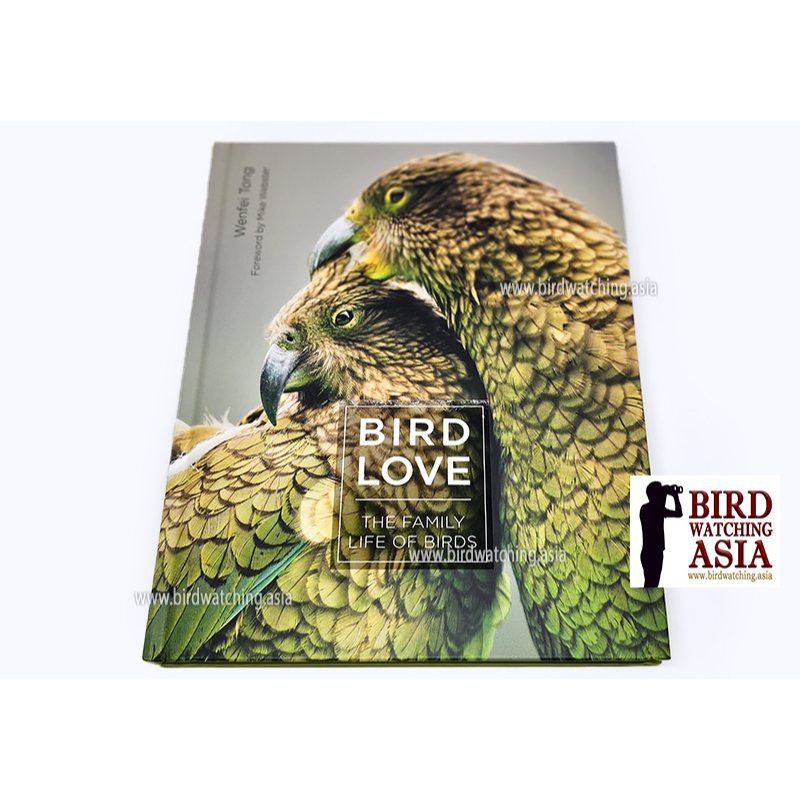 Bird Love Book The Family Life of Birds by Wenfei Tong Avian Birds ...
