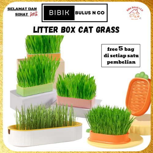 Cat Grass Seed Planter Box Hydroponics Growing Cat Grass Kotak Tanam ...