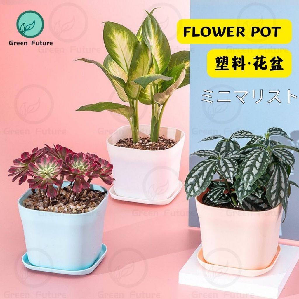 WHITE BLACK COLOR SUCCULENT CACTUS thick flower pot SQUARE PLASTIC POT ...