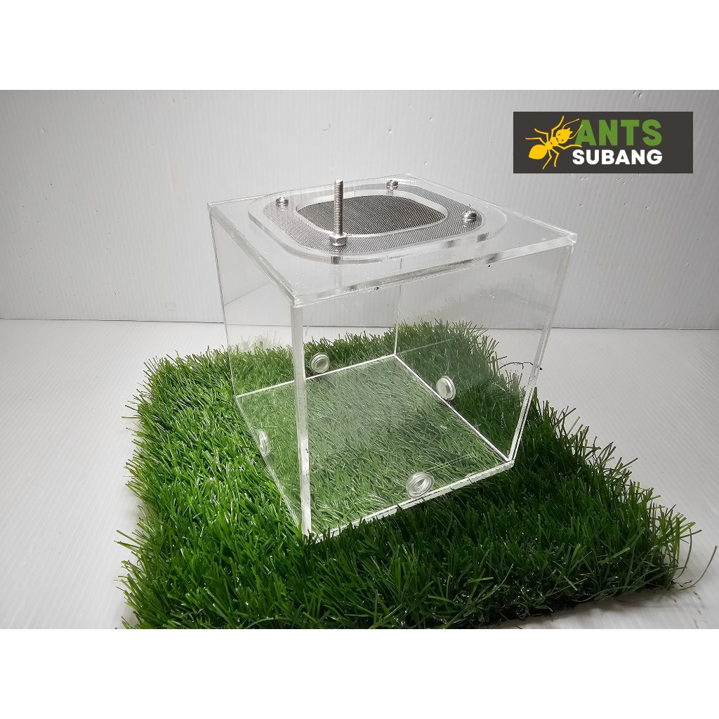 Ant Farm Nest Outworld Arena Set 1 | Shopee Malaysia