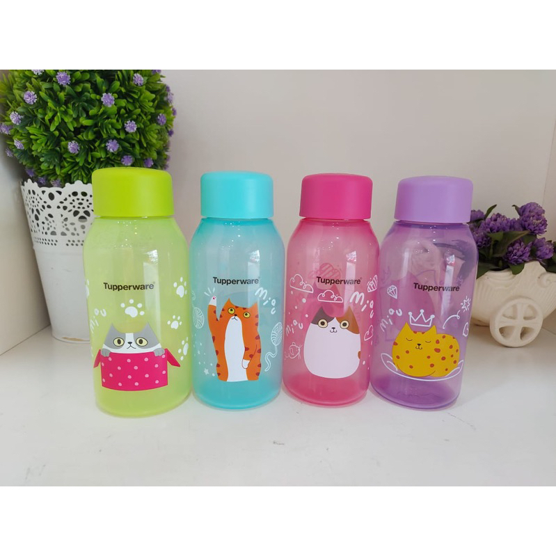 Tupperware Kitty Quencher Eco Bottle 350ml | Shopee Malaysia