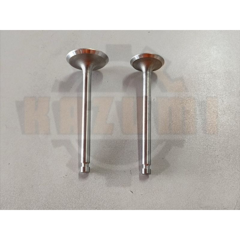 Yanmar Engine L100 Inlet/Exhaust Valve China Engine L186 [2PCS/1SET ...
