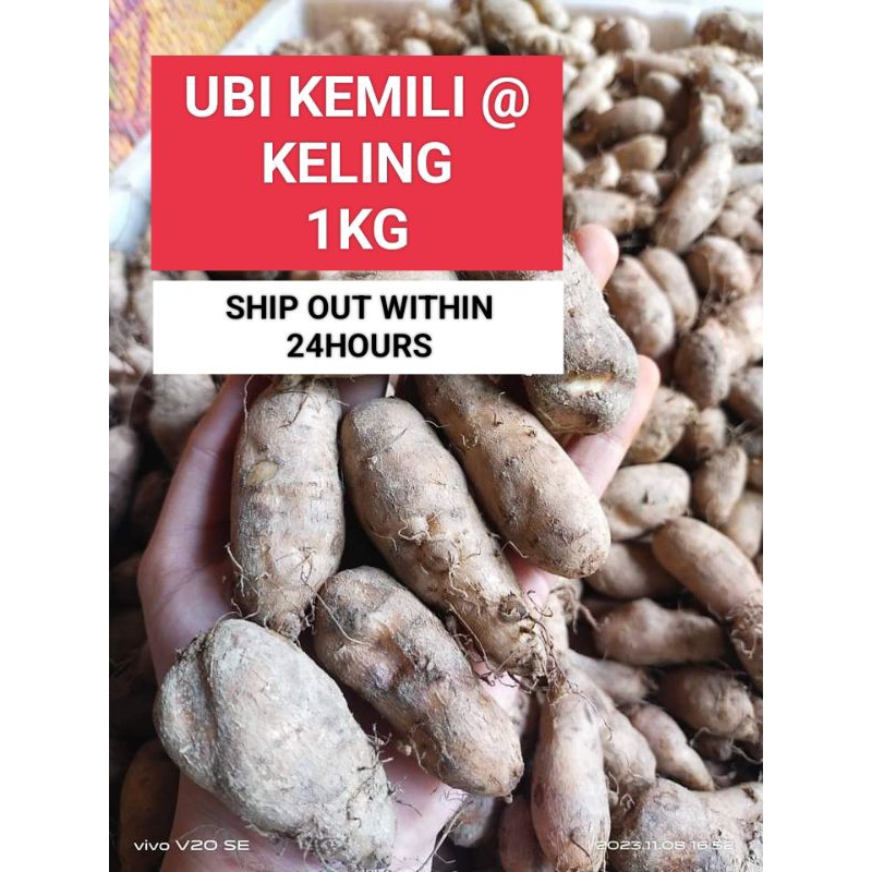 UBI KELING / UBI KEMILI FRESH 1KG | Shopee Malaysia