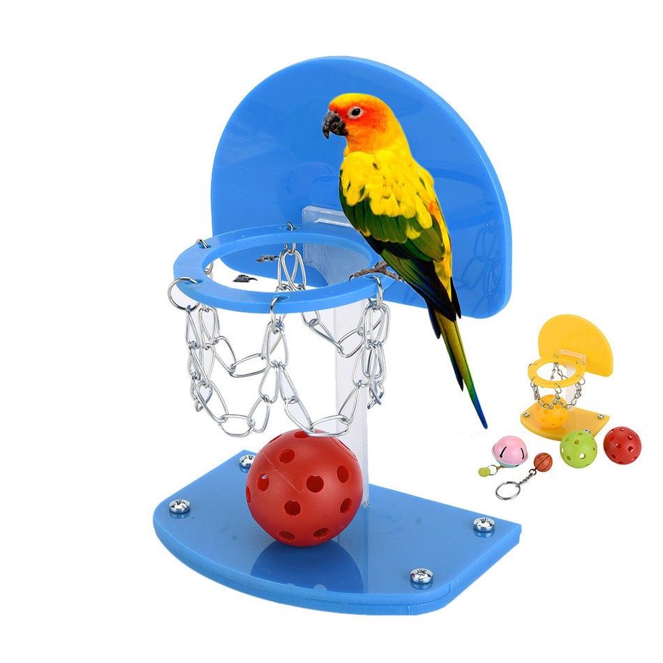 Mini Basketball Stand / Bird Intelligence Training Toy Budgies Learning ...