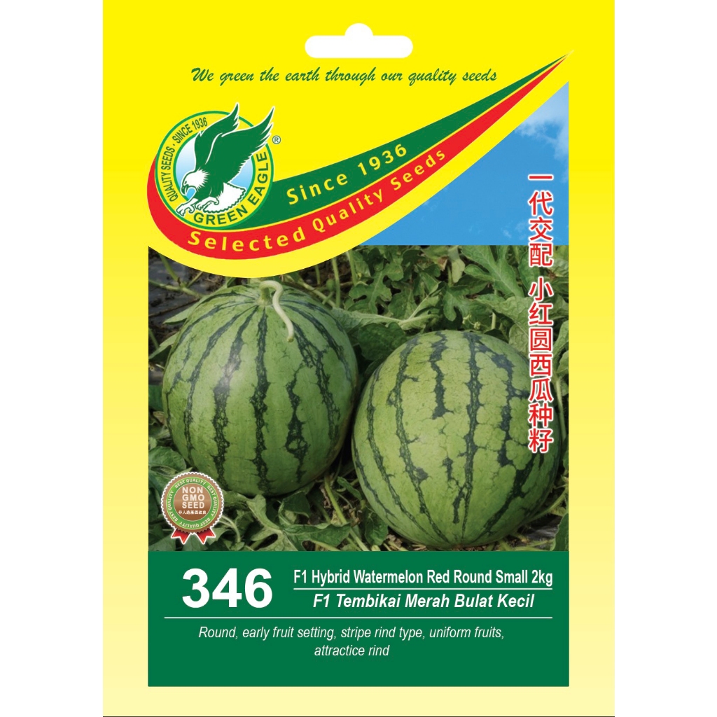 346 F1 Hybrid Watermelon Red Round Small/346 F1 Tembikai Merah Bulat ...